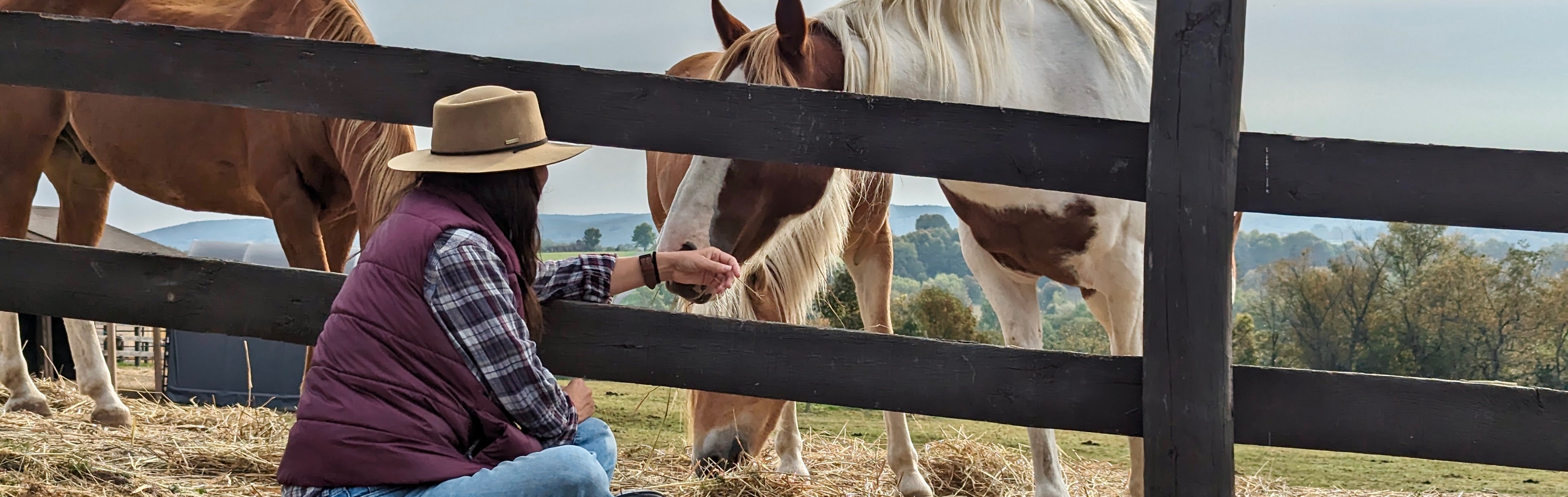 Restore at the Rescue: An Afternoon of Deep Rest with the Horses